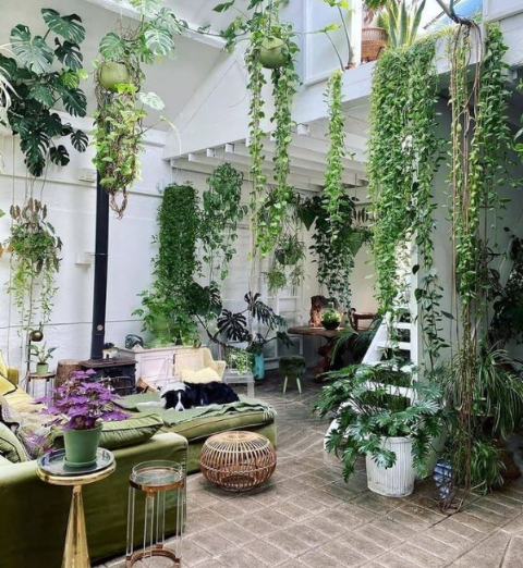 Plant Rooms Design Ideas 2,100+ Plant Wall Decor Stock Photos,