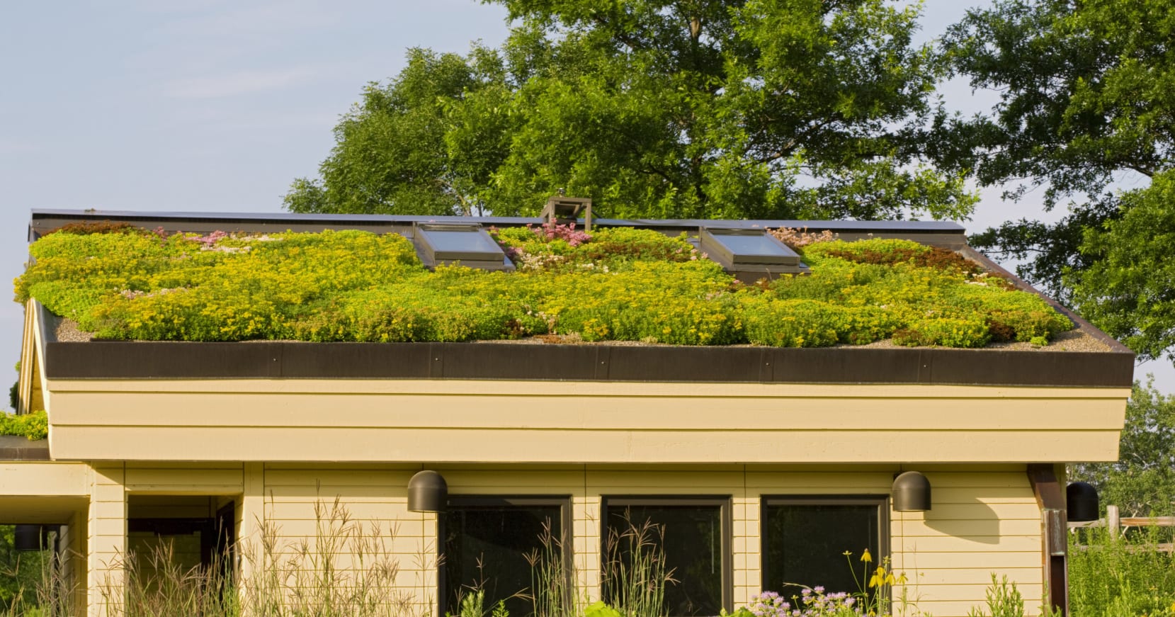 Un toit vert convient-il à votre propriété? | RénoAssistance