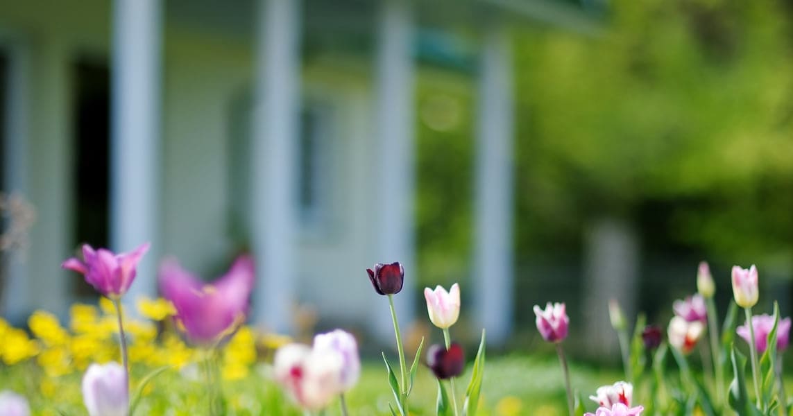 Prepare Your Home For the Spring | 12 Points to Check | RenoAssistance