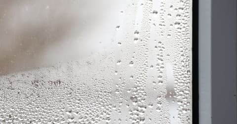 7 Signs That It's Time to Replace Your Windows | RenoAssistance