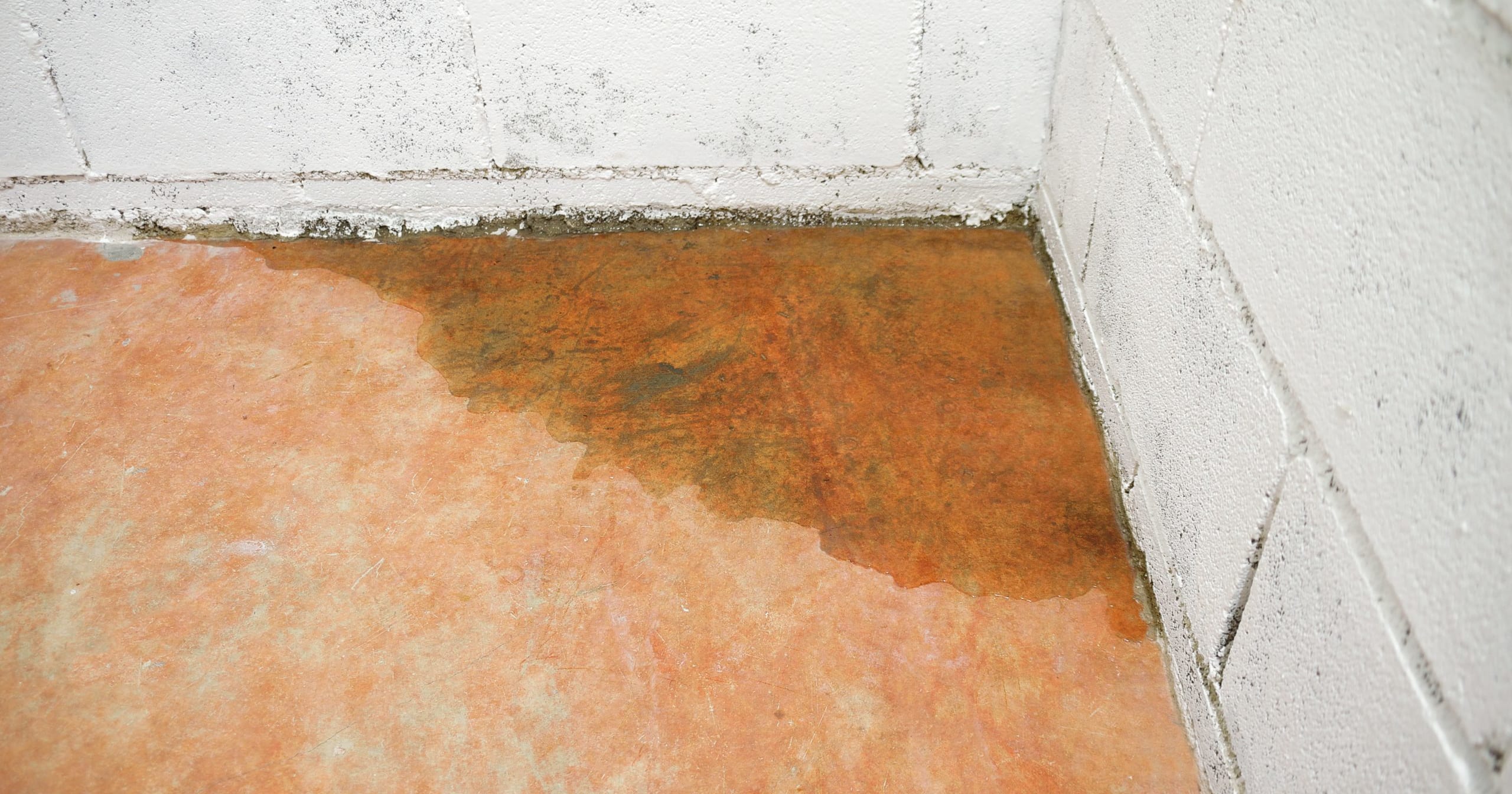 Quoi faire pour réduire l'humidité dans un sous-sol: nos conseils ...