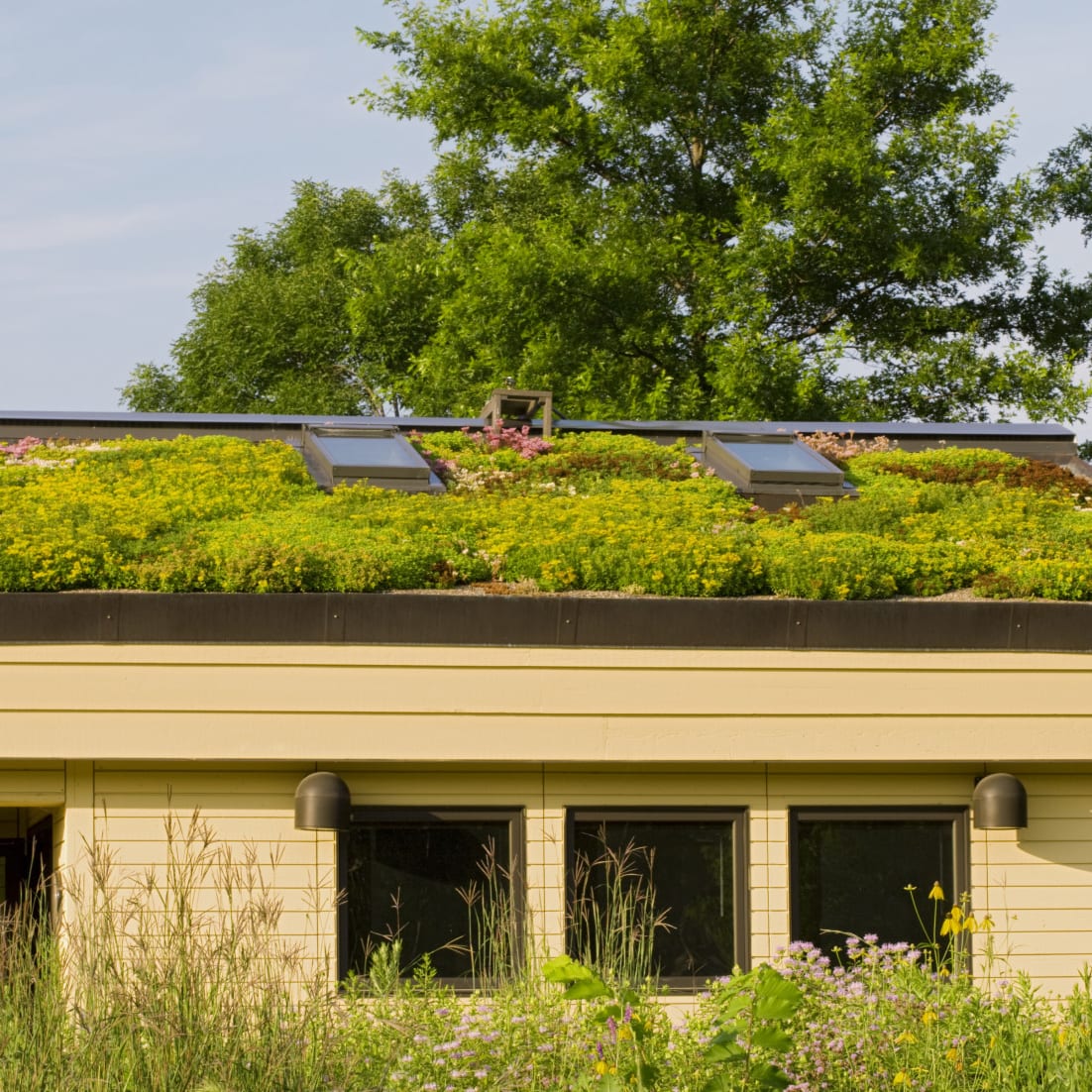 Interesting Green Roof
