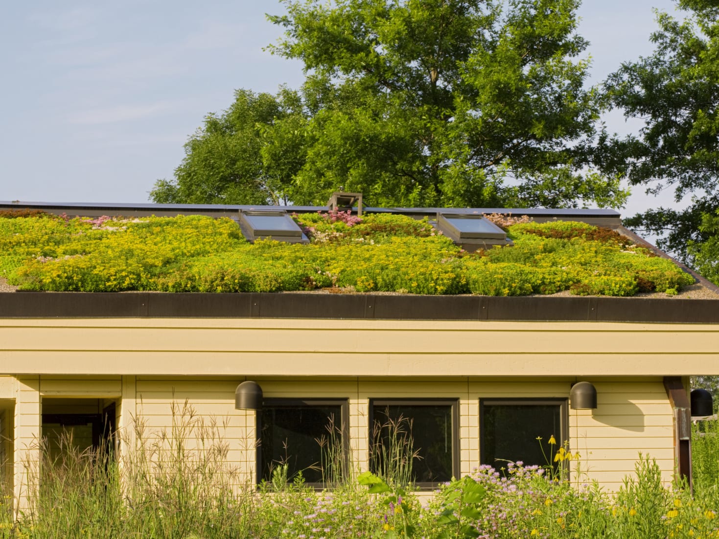 Residential Green Roof Construction