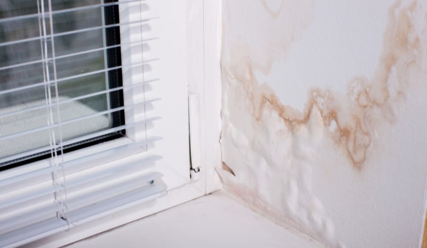 7 Signs That It's Time to Replace Your Windows | RenoAssistance