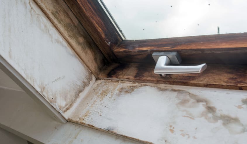 7 Signs That It's Time to Replace Your Windows | RenoAssistance